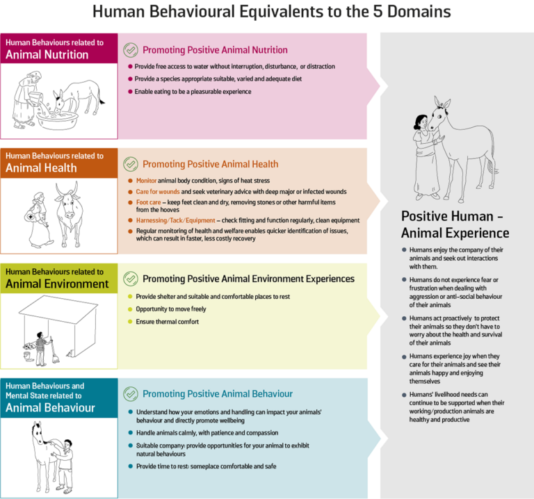 Module 1 | Part 2: Animal Welfare and Communities | Relationships ...