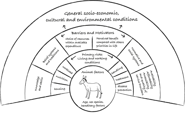 Module 1 | Part 2: Animal Welfare and Communities | Relationships ...