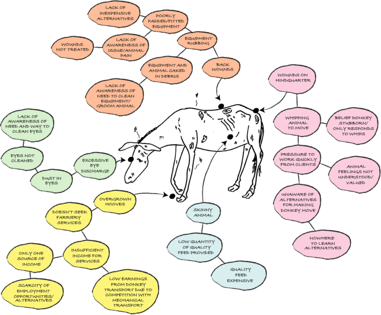 9. Example of the Five Domains of Animal Welfare For Donkeys Linked ...