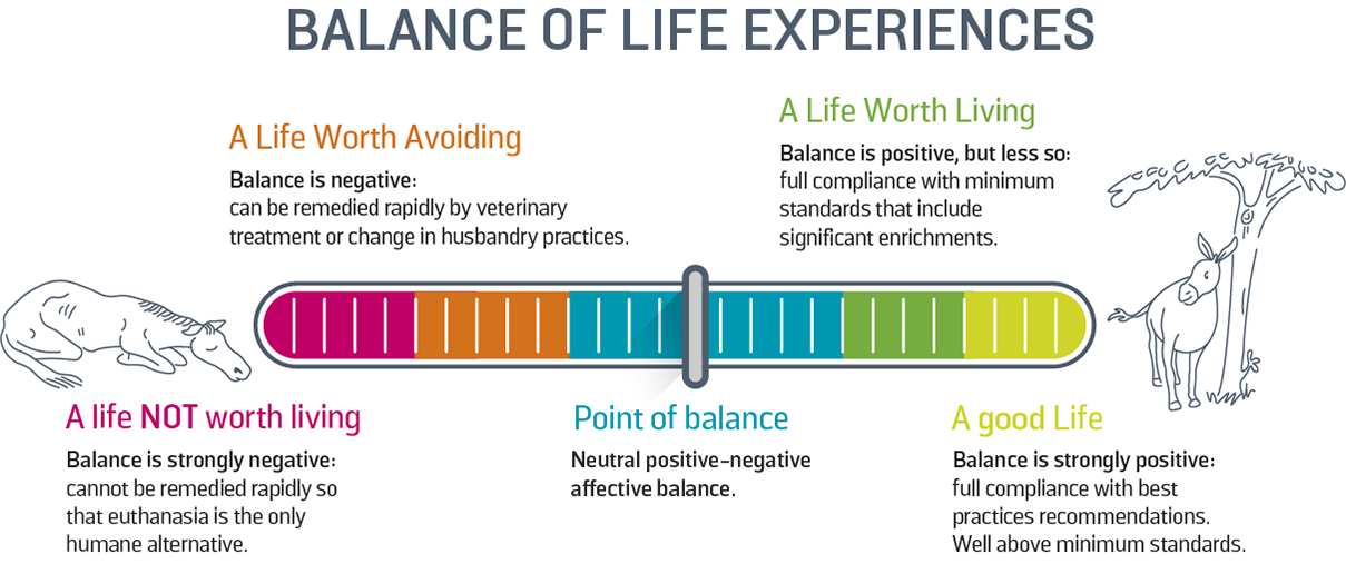 9. Example of the Five Domains of Animal Welfare For Donkeys Linked ...